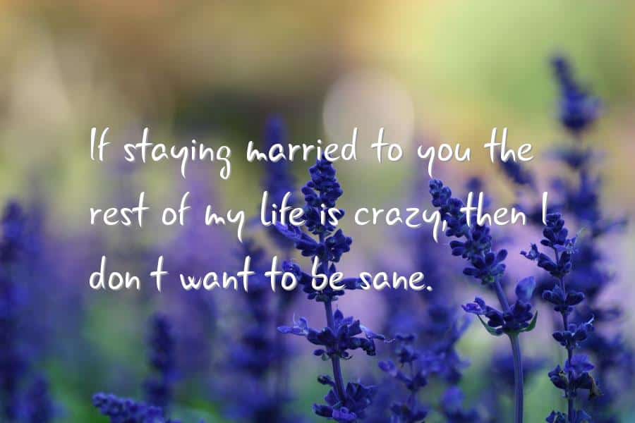 20 Sweet Wedding Anniversary Quotes For Husband He Will Love Part 2