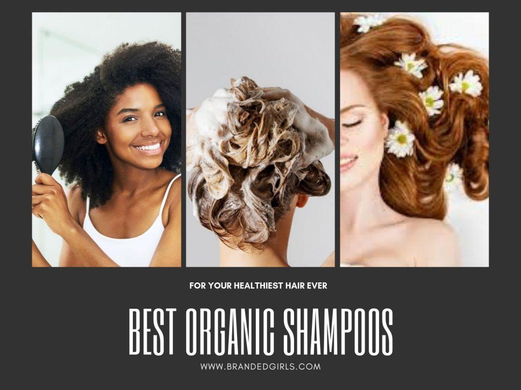 Top 10 Organic & Natural Shampoo Brands For All Hair Types – Branded Girls