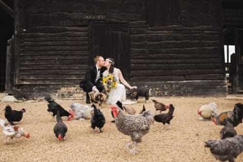 15 Best Rustic Farm Wedding Themes To Try This Year – Branded Girls