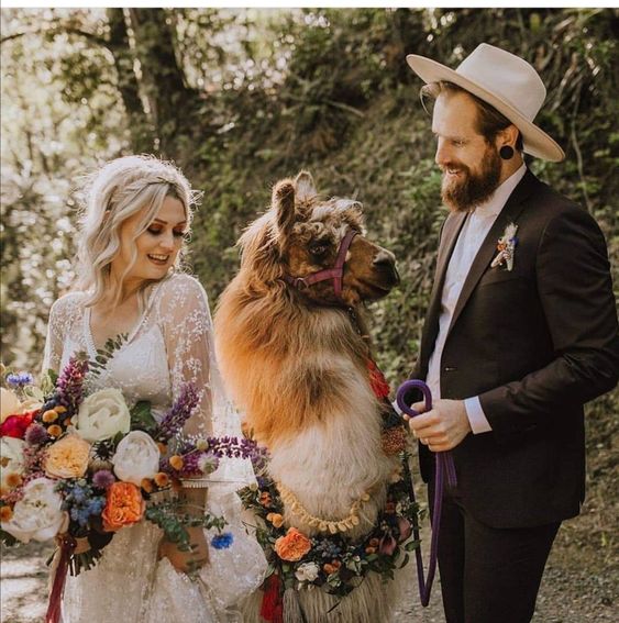 15 Best Rustic Farm Wedding Themes To Try This Year – Branded Girls