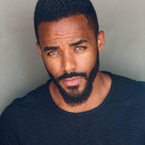 25 Coolest Beard Styles For Skinny Men To Try – Branded Girls