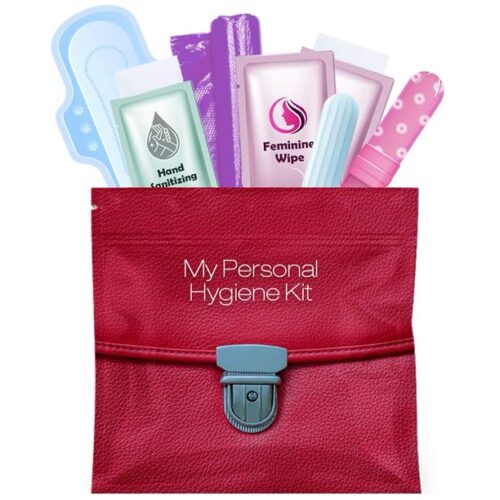 18 Best Period Starter Kits to Buy for Your Daughter – Branded Girls
