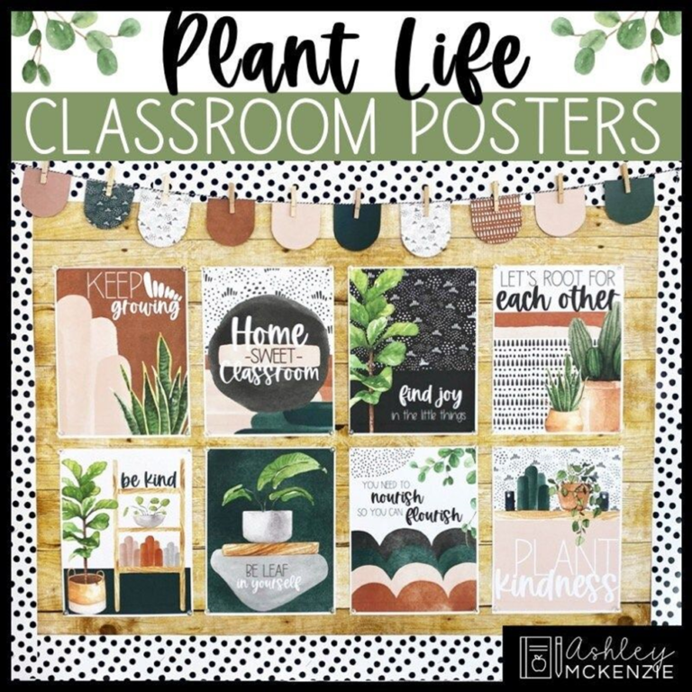 35 Best Classroom Design Themes & Decor Ideas from Teachers – Branded Girls