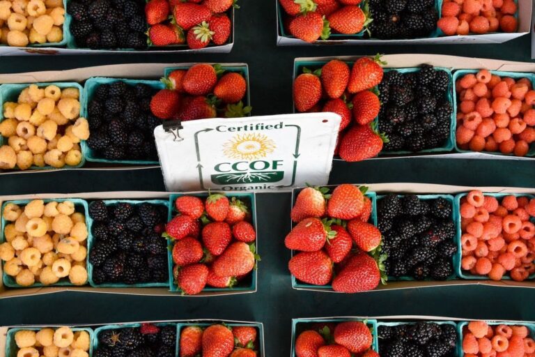20 Beautiful Farmers Market Display Ideas for Every Budget – Branded Girls