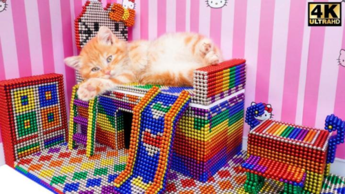 30 Modern Cat House Designs for Your Favorite Cats to Enjoy – Branded Girls