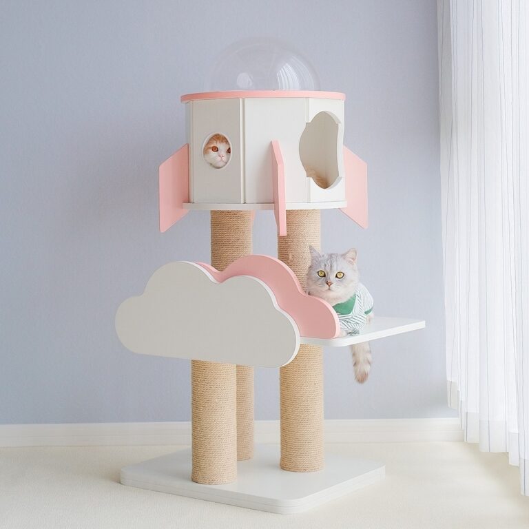 30 Modern Cat House Designs for Your Favorite Cats to Enjoy – Branded Girls