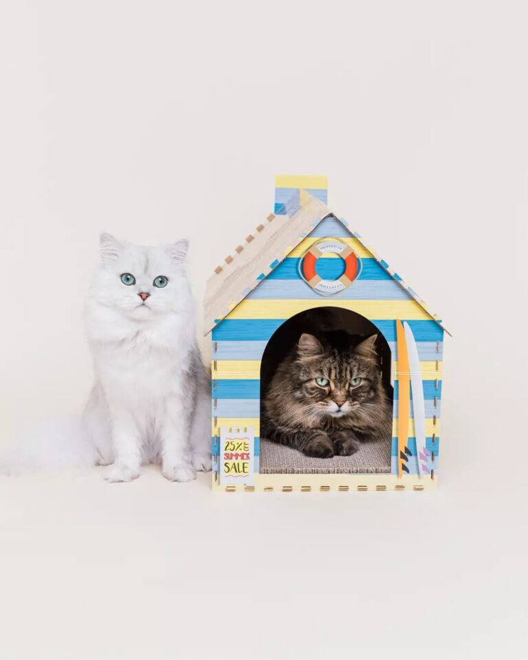 30 Modern Cat House Designs for Your Favorite Cats to Enjoy – Branded Girls