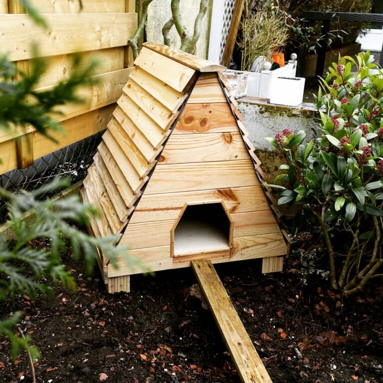 30 Modern Cat House Designs for Your Favorite Cats to Enjoy – Branded Girls