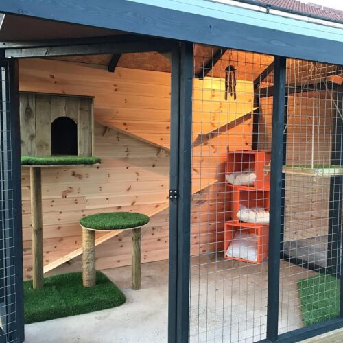 30 Modern Cat House Designs for Your Favorite Cats to Enjoy – Branded Girls