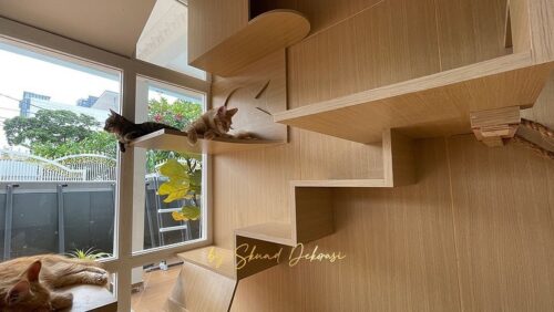 30 Modern Cat House Designs for Your Favorite Cats to Enjoy – Branded Girls