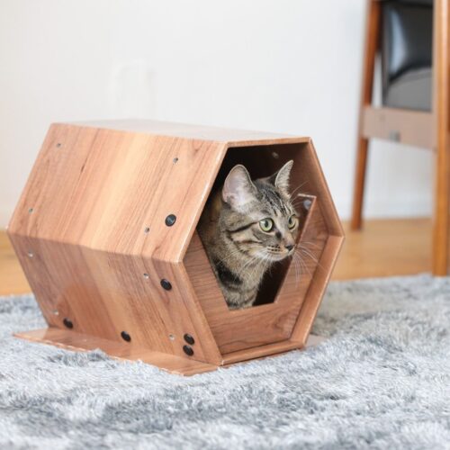 30 Modern Cat House Designs for Your Favorite Cats to Enjoy – Branded Girls