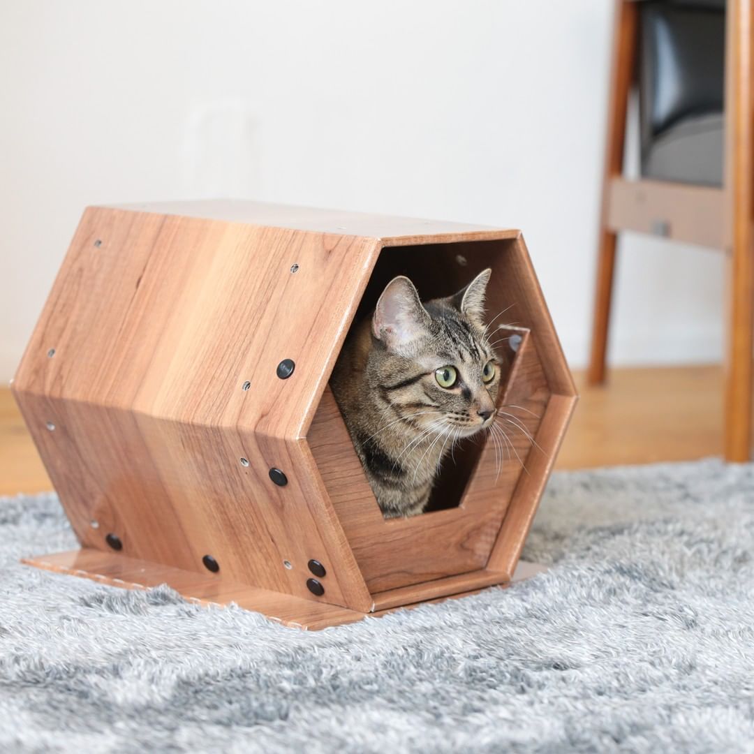 30 Modern Cat House Designs for Your Favorite Cats to Enjoy