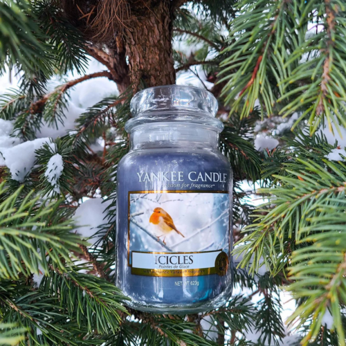 14 Best Candle Brands That are Truly Worth Your Money – Branded Girls